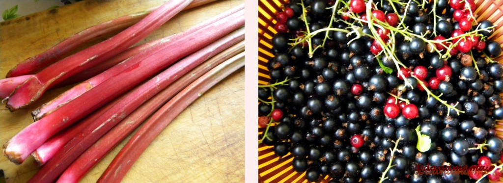 Rod Grod Med Flode (desert cu rubarba si coacaze) - Prăjiturici și altele