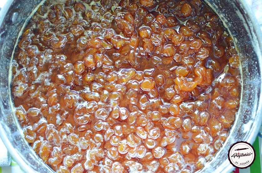 Dulceata de cirese amare - Prăjiturici și altele